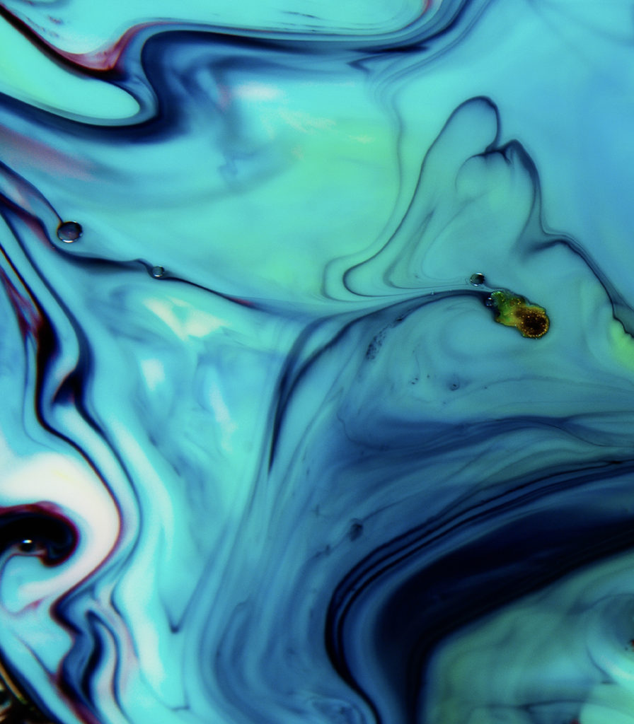 PERFORMANCE NUTRITION PRODUCTS – PRōZE Performance Nutrition